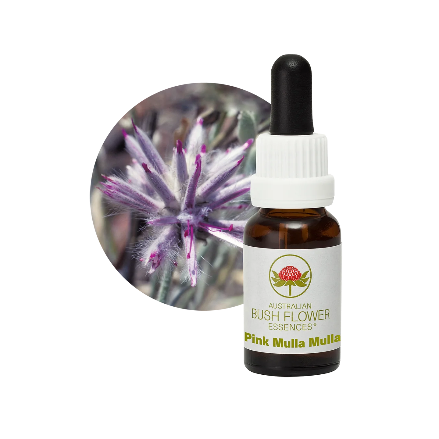 Australian Bush Flower Essences Pink Mulla Mulla – Nurtured Vitality