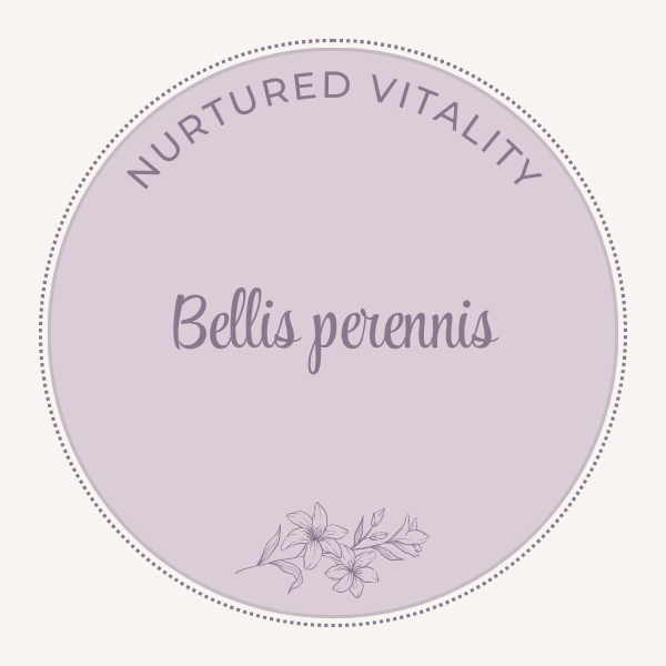 Nurtured Vitality Bellis perennis | Homeopathics