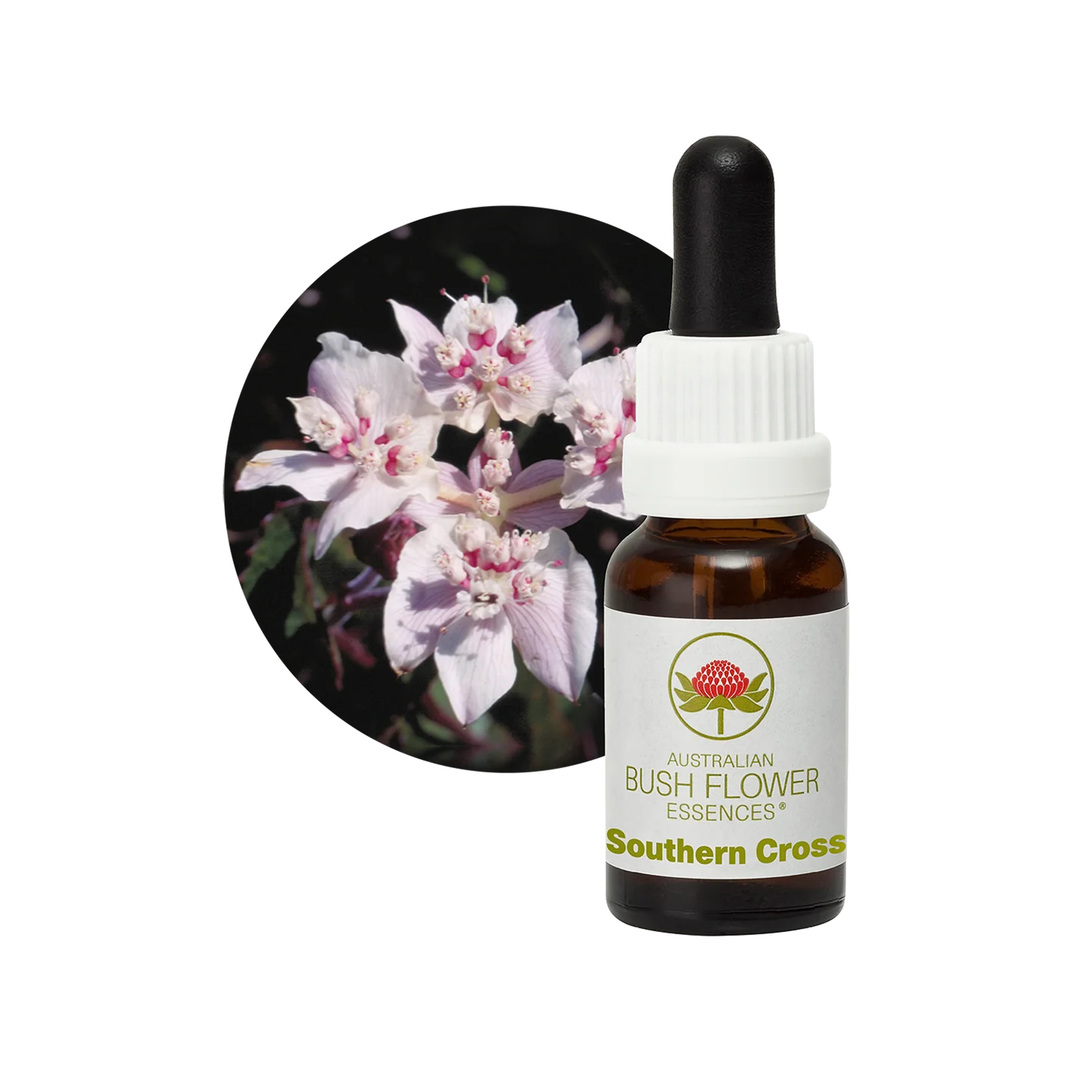 Australian Bush Flower Essences Southern Cross – Nurtured Vitality